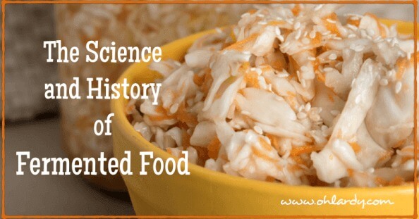 The Science and History of Fermented Foods - Oh Lardy