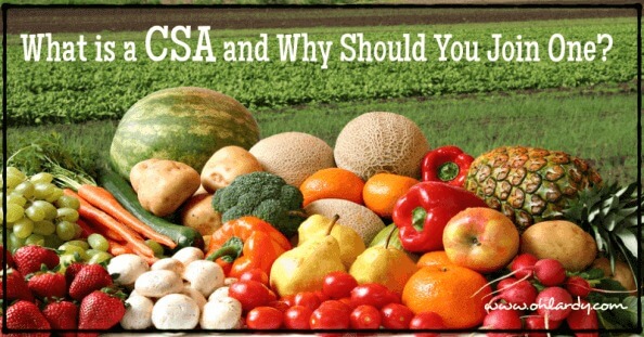 What is a CSA and Why Should You Join One? - Oh Lardy