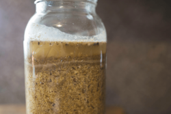 Fermented Chicken Feed - Oh Lardy