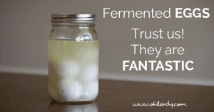 Fermented Eggs - Oh Lardy