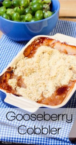 Gooseberry Cobbler - A Once in a Summer Dessert