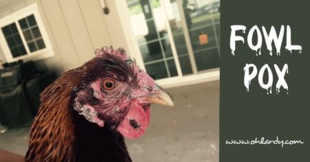 Fowl Pox - Oh Lardy