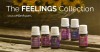 The Feelings Collection by Young Living - Oh Lardy