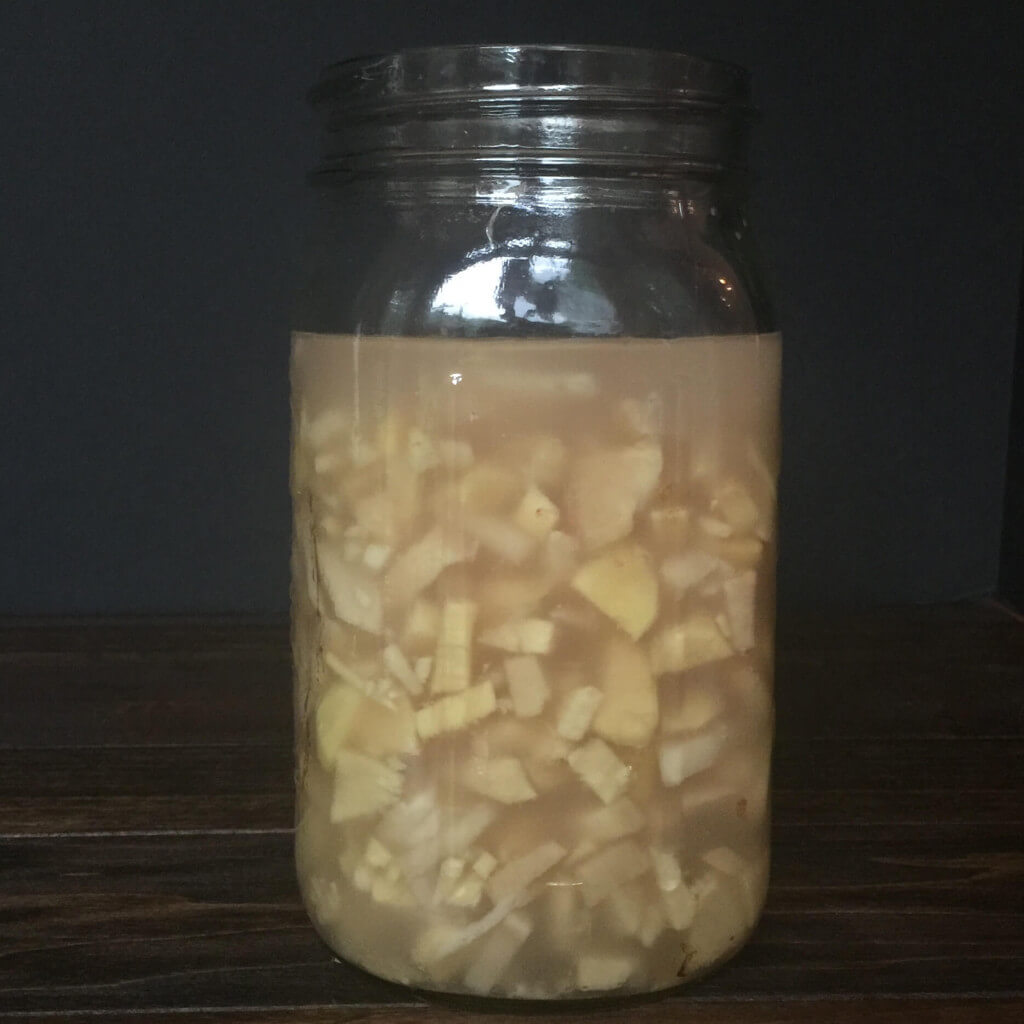 Ginger Bug - Fermented Ginger Bug Soda Recipe - Oh Lardy