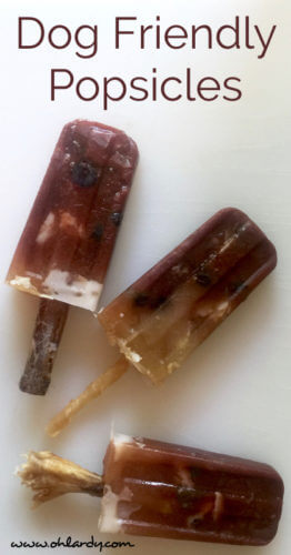 Frozen Dog Treat - Dog Friendly Popsicles